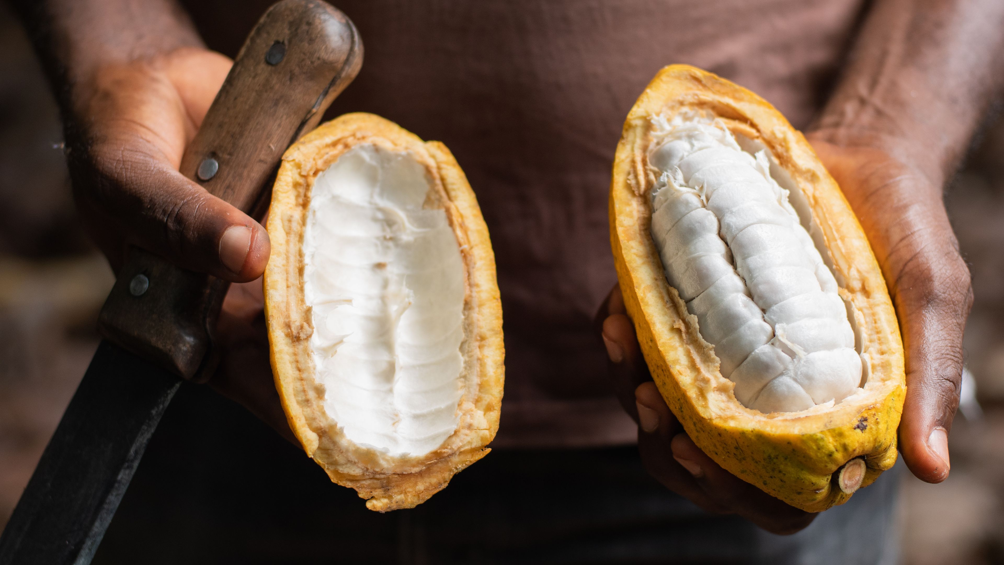 ALDI's Choceur CHOCO CHANGER wins the European Private Label Award 2022 ...