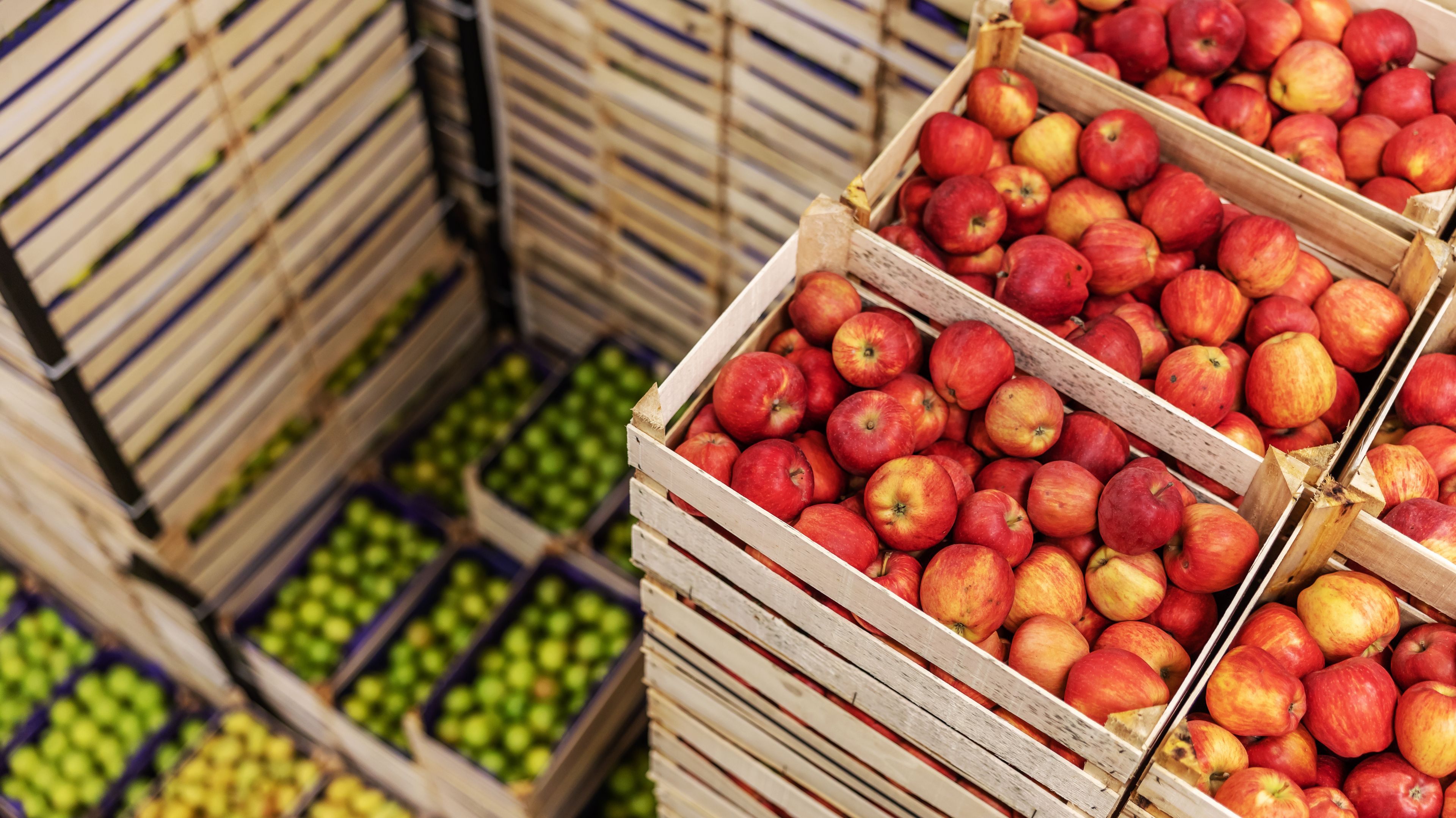 Global Sustainability Strategy | ALDI SOUTH Group