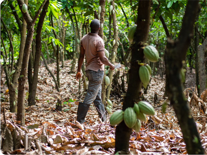 Sei ein CHOCO CHANGER: ALDI‘s nachhaltige Schokolade für eine faire ...