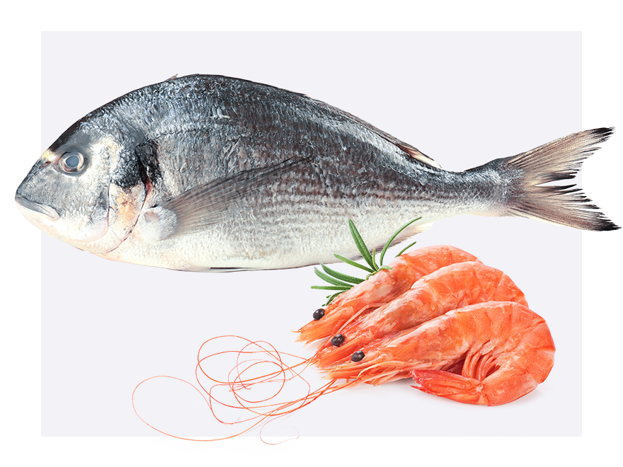 Fish & Seafood | ALDI SOUTH Group