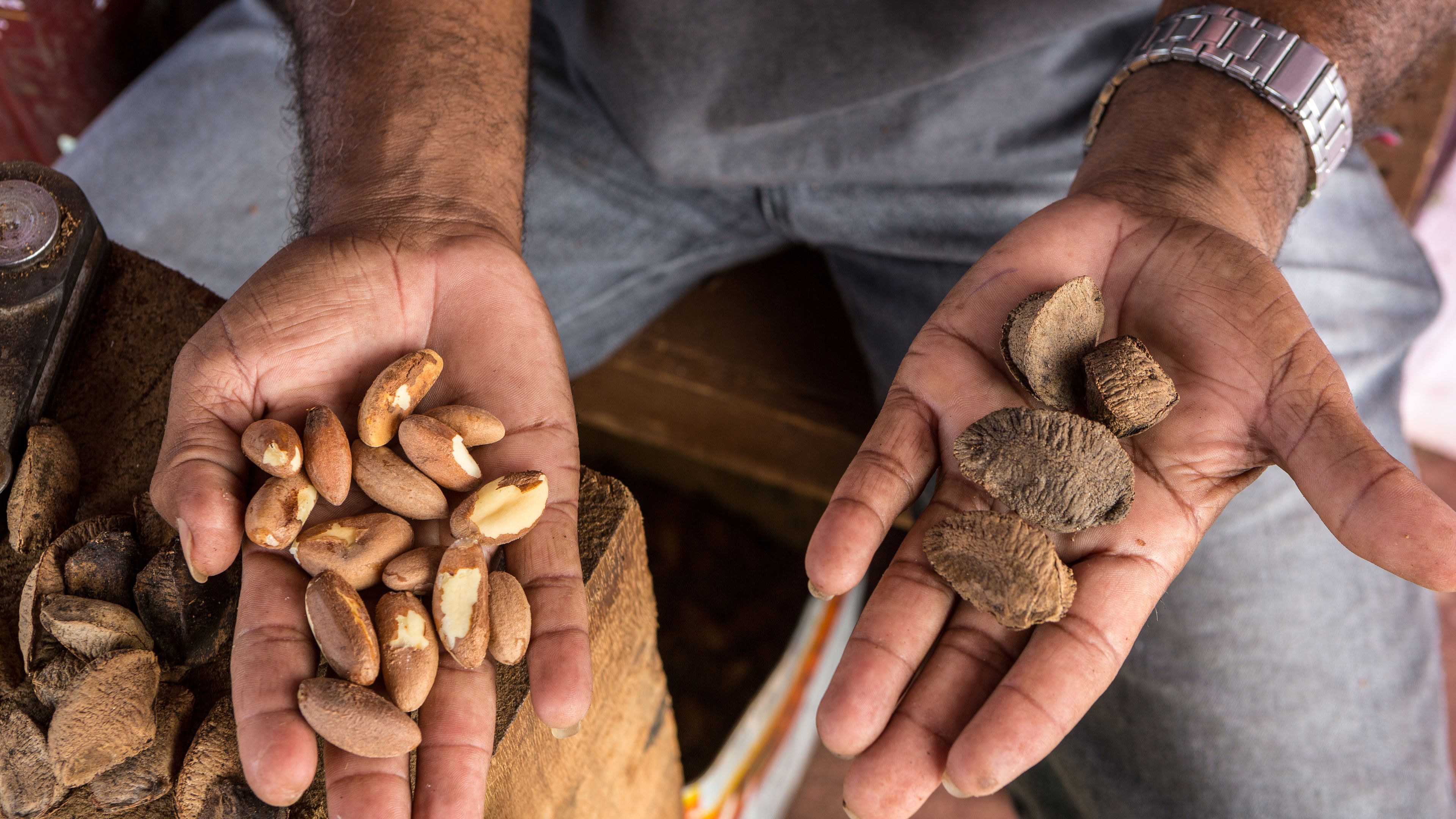 Nuts | ALDI SOUTH Group