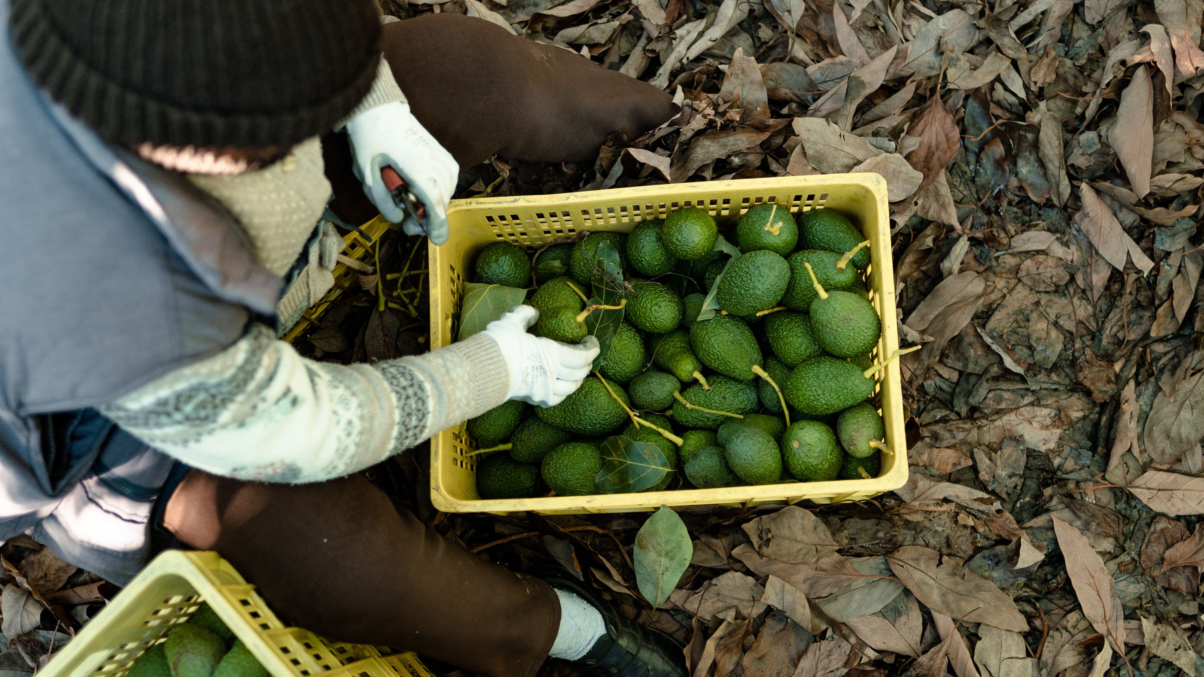 ALDI announces its Global Corporate Responsibility Strategy and Vision ...