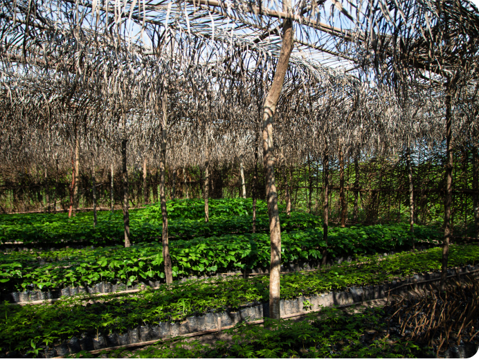 Sei ein CHOCO CHANGER: ALDI‘s nachhaltige Schokolade für eine faire ...